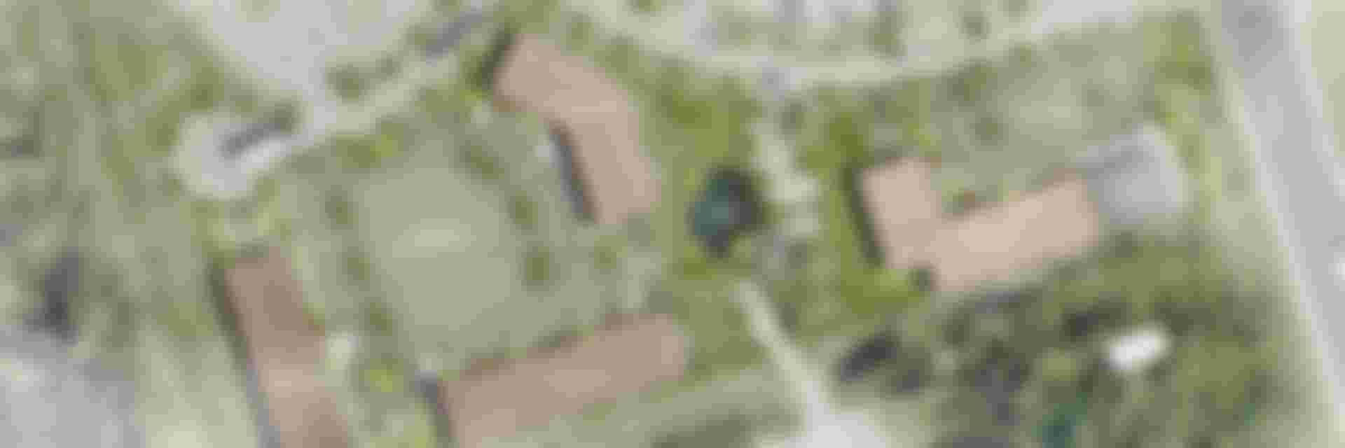 Introducing Thrive Properties - Thrive Properties