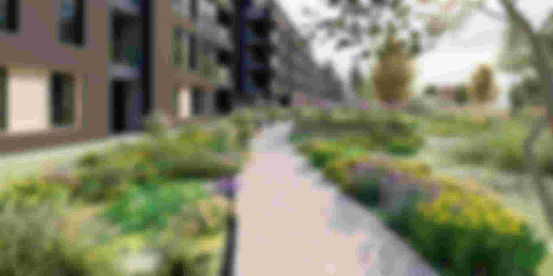 Introducing Thrive Properties - Thrive Properties