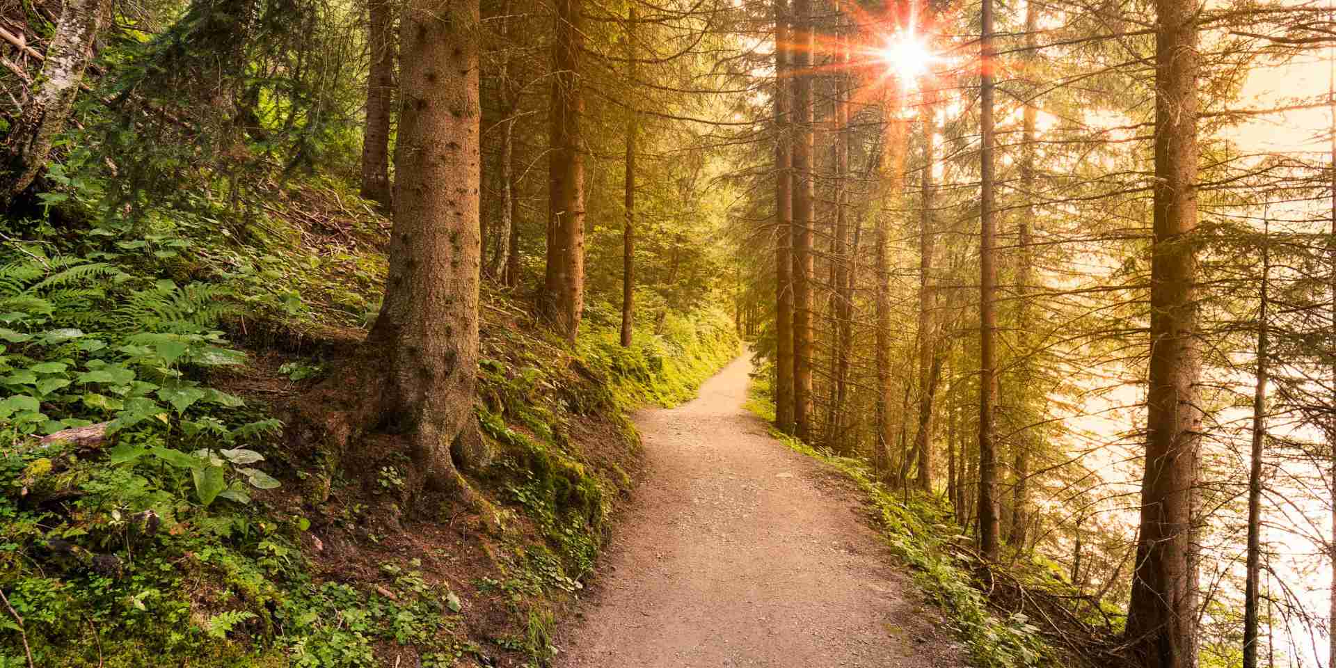 The Trailway | Master Planned Building | Riverview | Thrive Properties